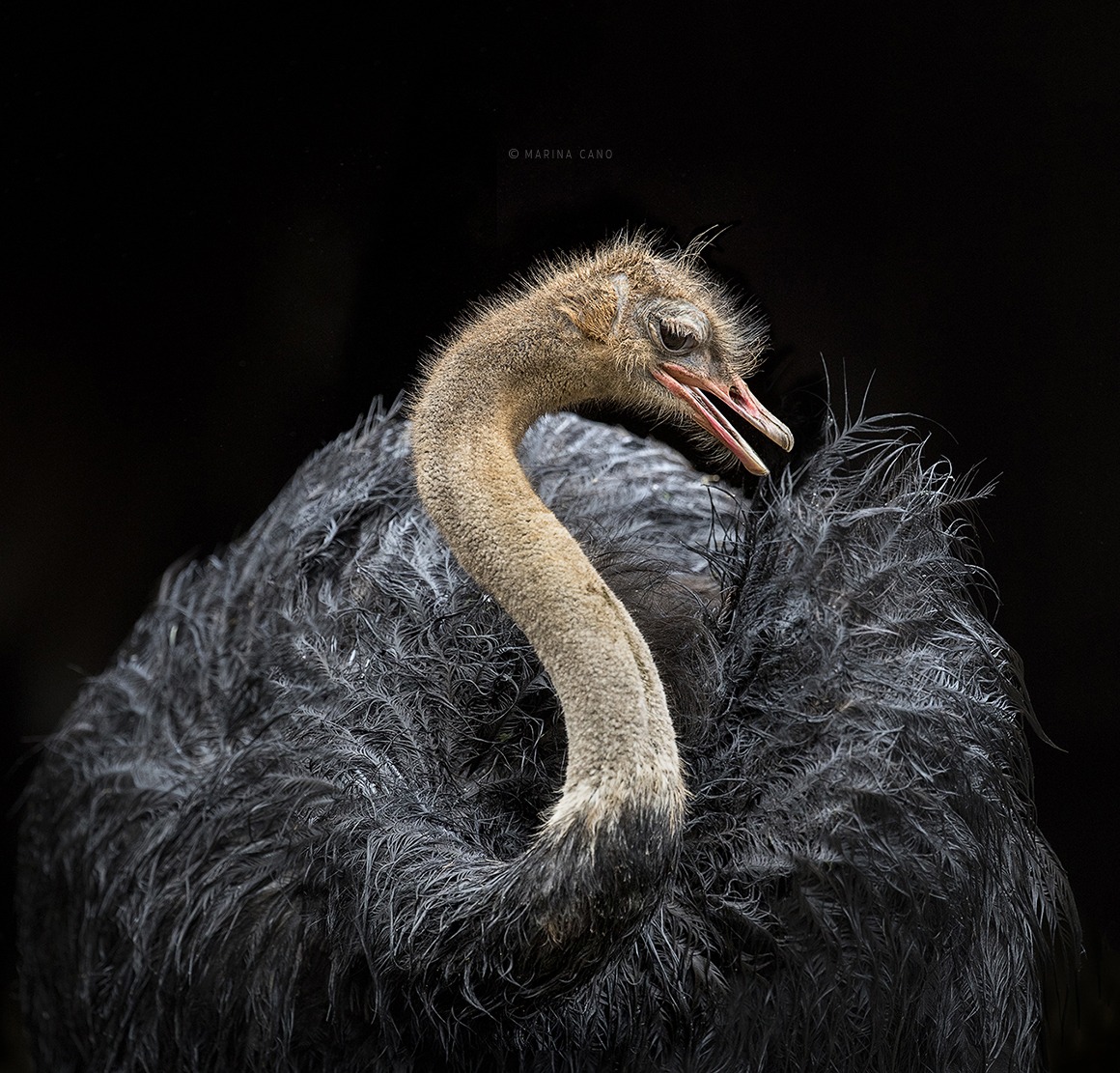 Marina Cano – Aula Fotografica UFV